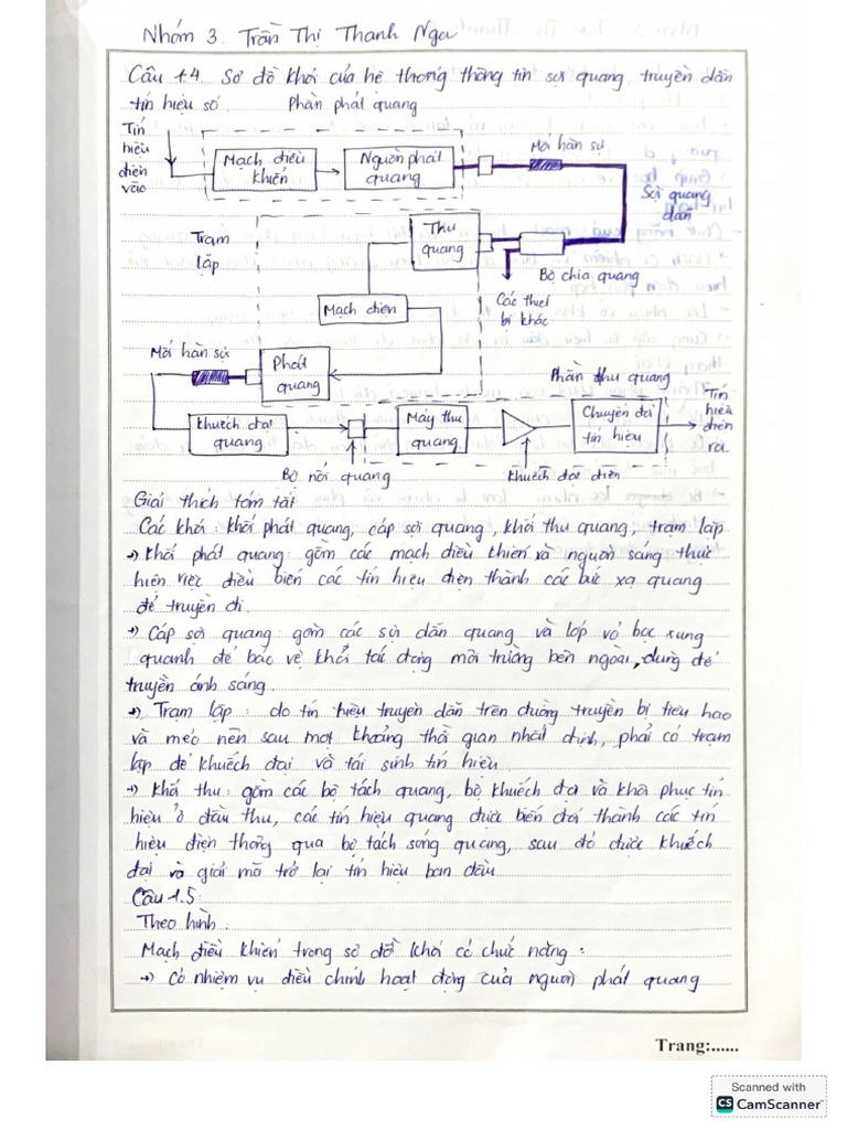 BT TTSQ Tong Hop | PDF