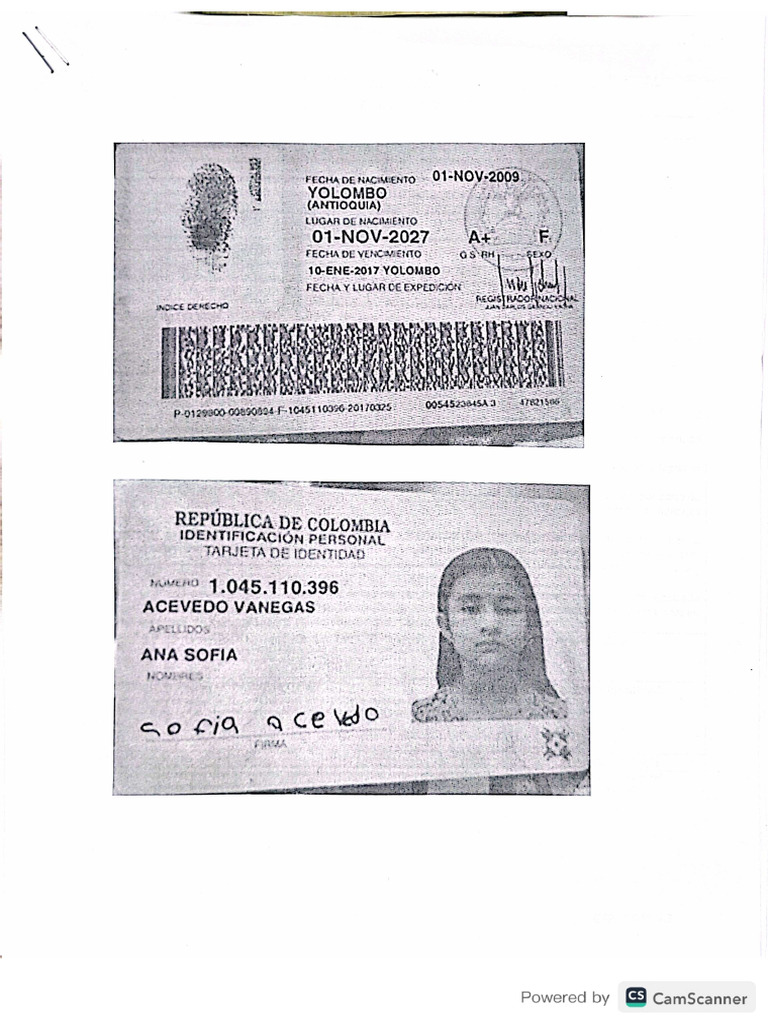 Ana Sofia Acevedo Vanegas | PDF