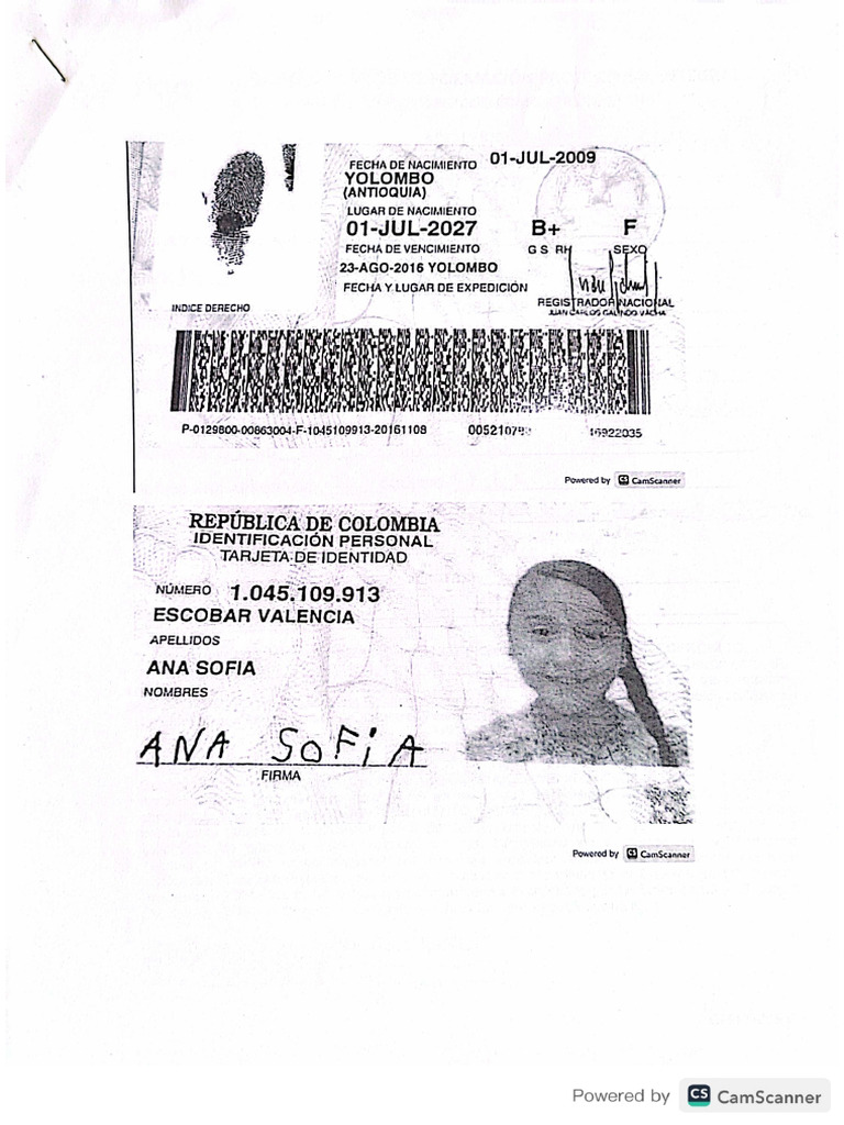 Ana Sofia Escobar | PDF