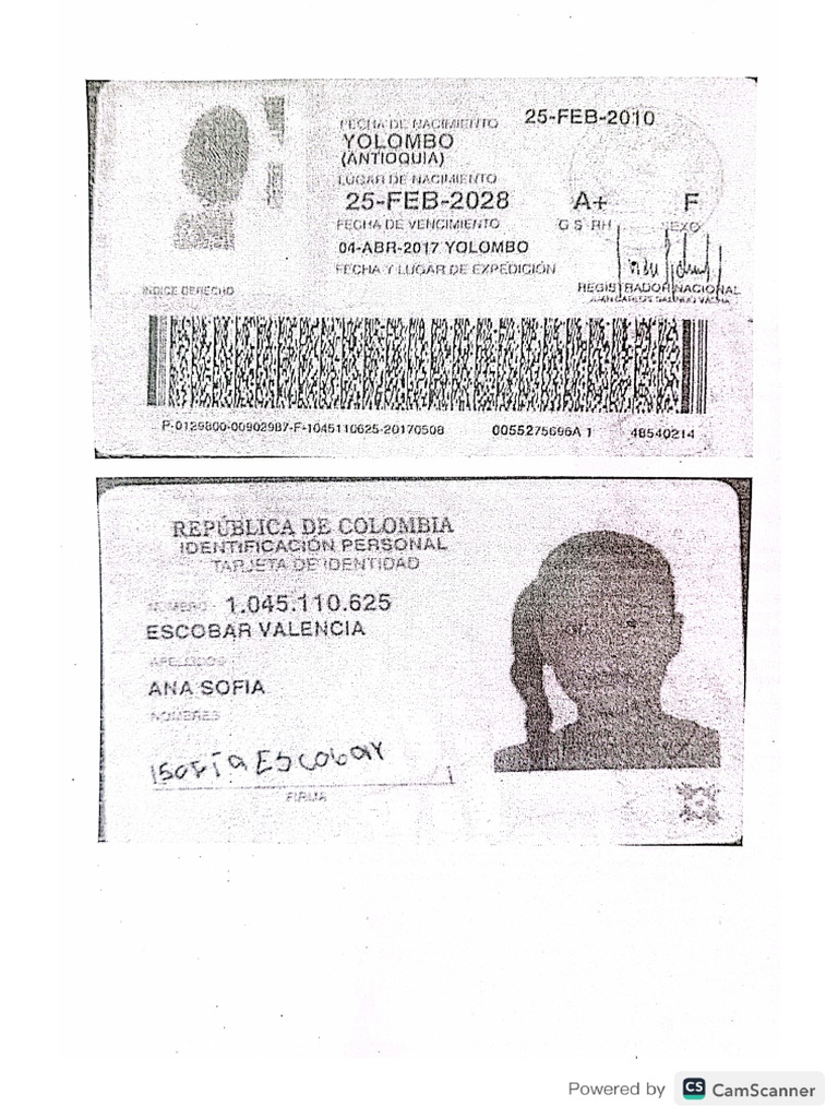 Ana Sofia Escobar Valencia 2 | PDF