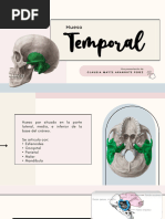 Celda Parotídea y Glandula Parotida RESUMEN | PDF ...