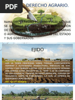 Comisariado Ejidal y Consejo de Vigilancia | PDF | Ley Pública | Justicia
