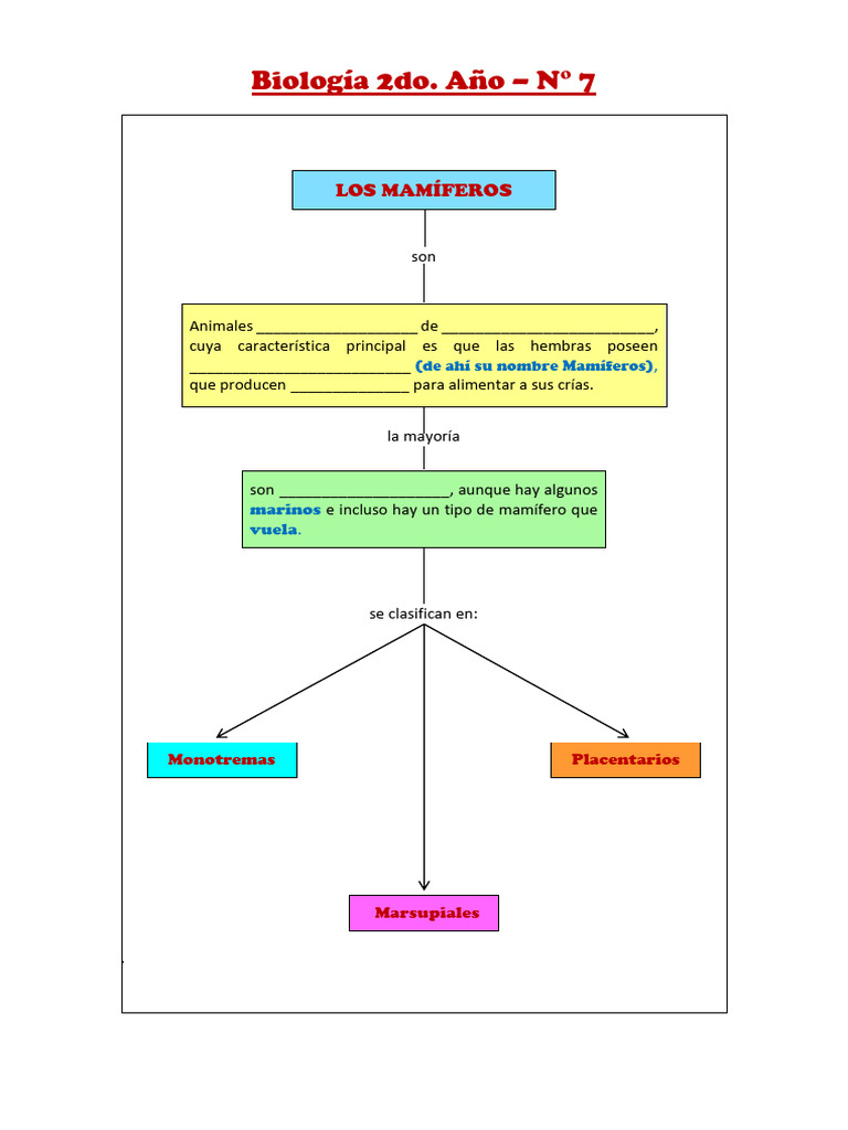 Biologia - 2do. Año - 7 - 2025 | PDF | Mamíferos | Marsupiales