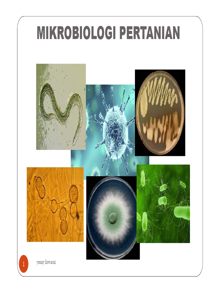 Bahan Ajar Mikrobiologi PERTANIAN | PDF