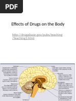 Drug Awareness Presentation | PDF | Cannabis (Drug) | Heroin