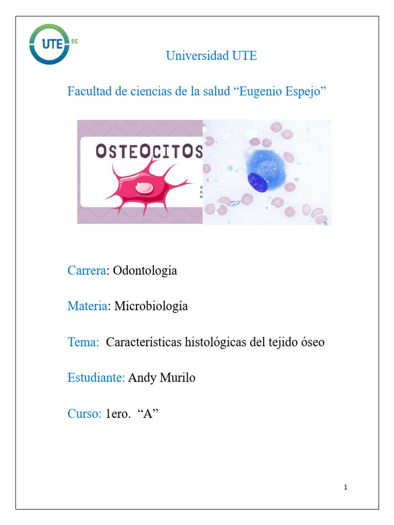 Andy Murillo 1 A | PDF | Hueso | Anatomía