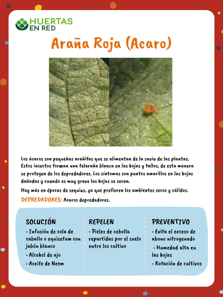 Fichas de Insectos para Niños | PDF | Artrópodos