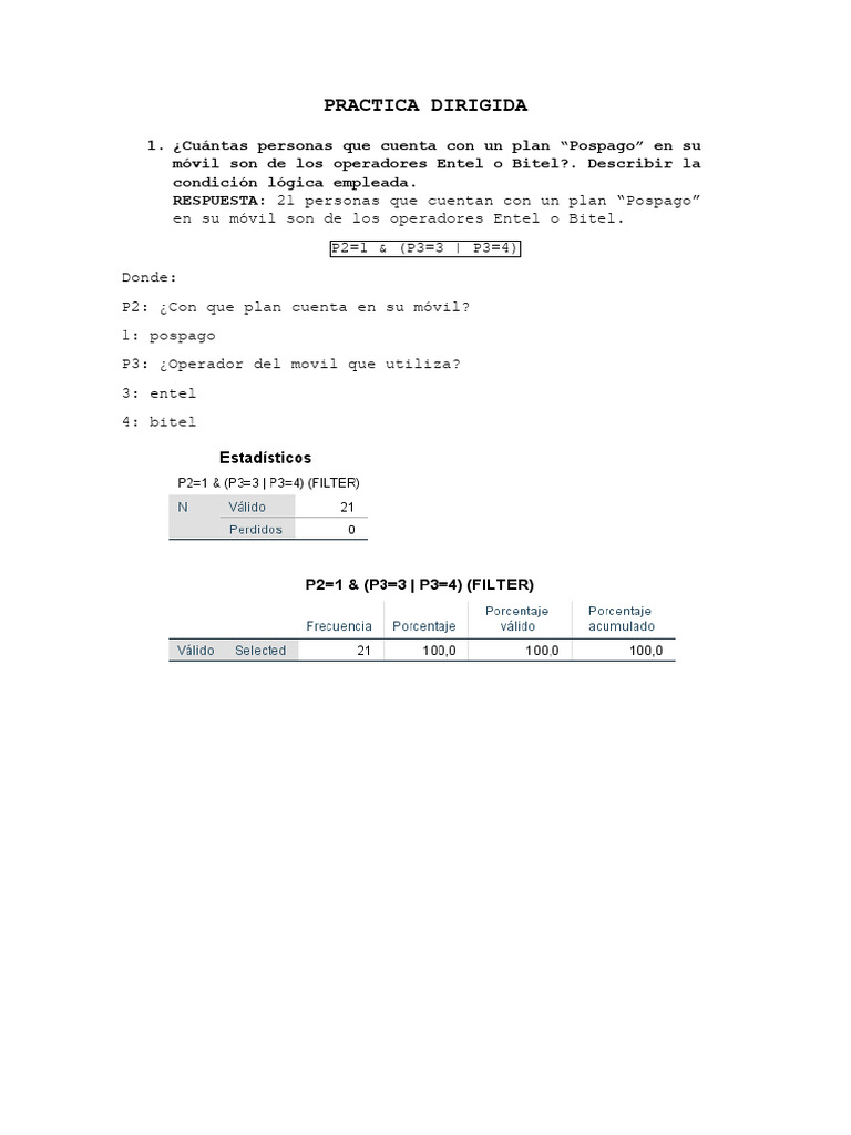 Practica Dirigida Ej1 | PDF