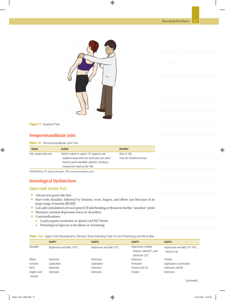 Lower Limb Tension Test Overview | PDF | Anatomical Terms Of Motion ...