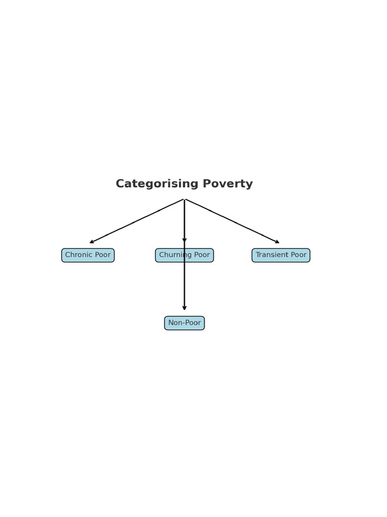 Categorising Poverty Notes | PDF