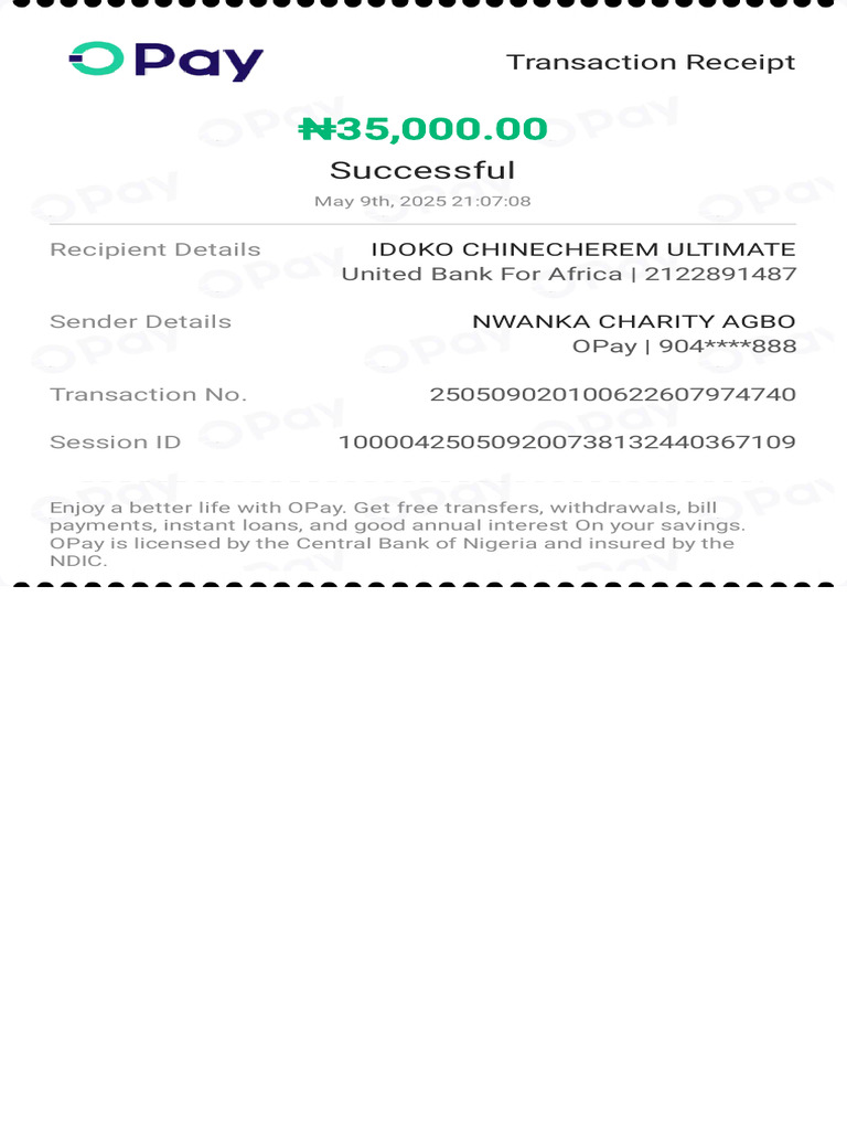 Successful OPay Transaction Receipt | PDF