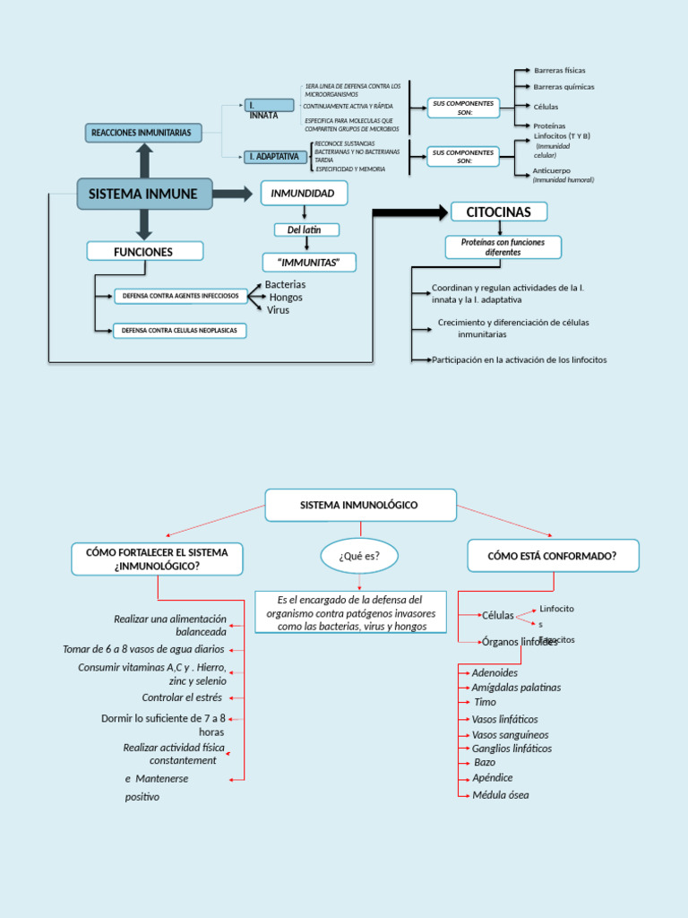 Mapa Conceptual Del Sistema Inmunológico 6° Grado | PDF | Sistema inmune | Linfocitos