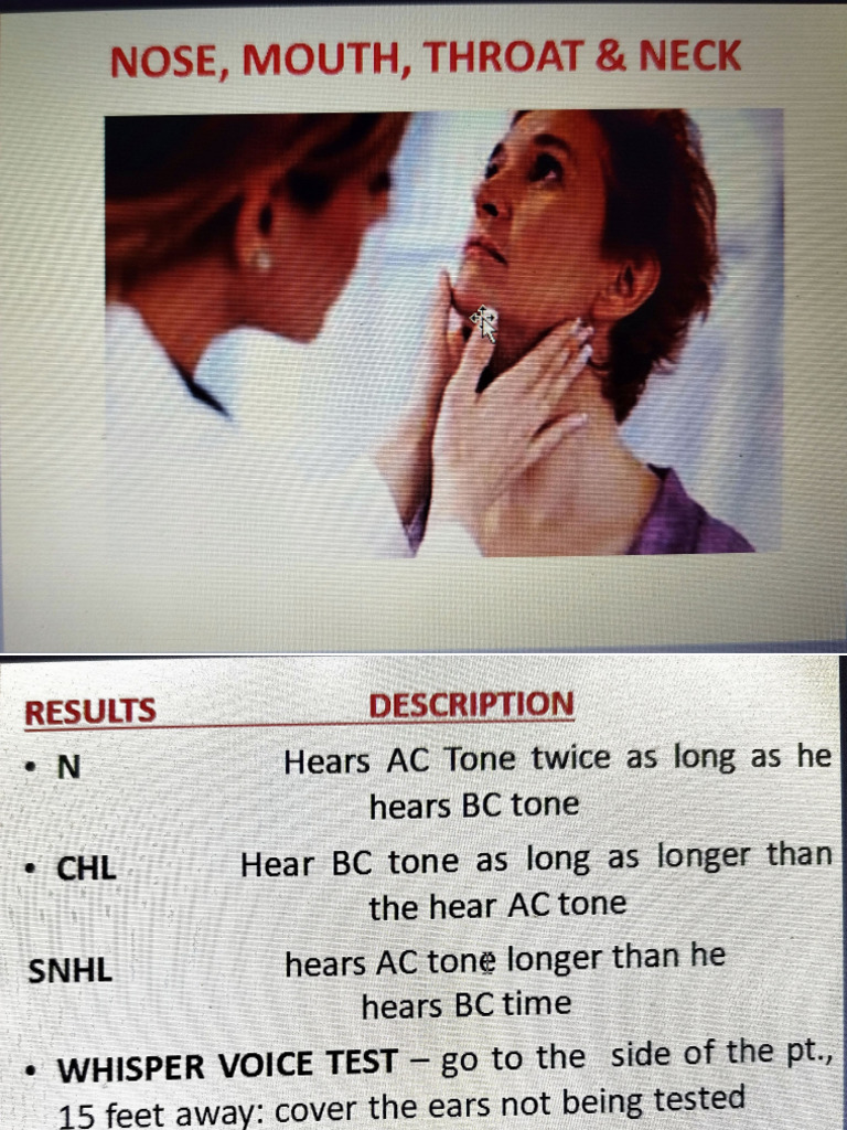 Nose Mouth Throat Neck | PDF