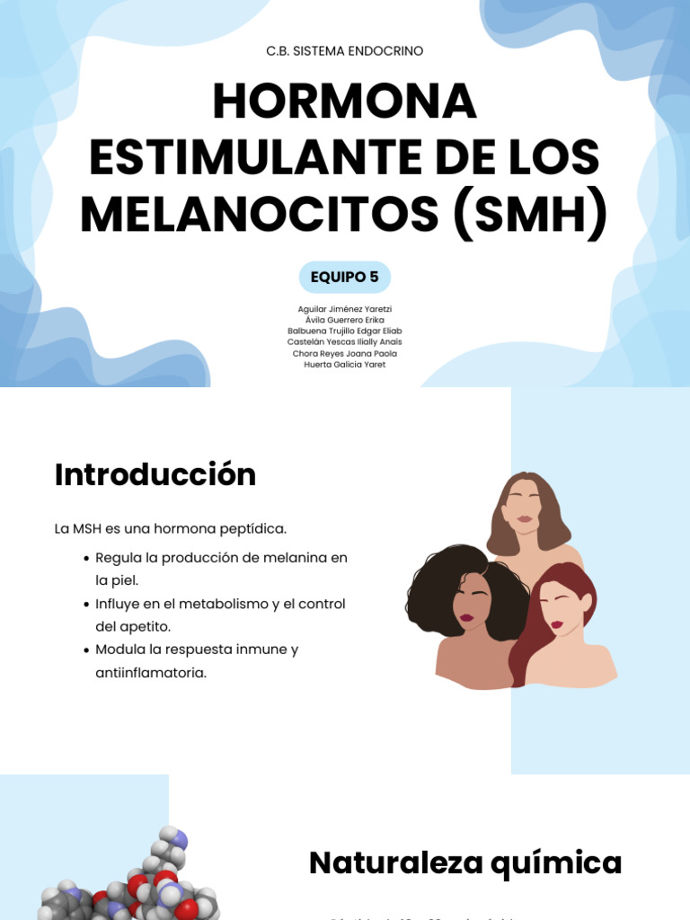 HORMONA ESTIMULANTE DE LOS MELANOCITOS (smh).pdf | PDF | Hormona adrenocorticotrópica | Hormona