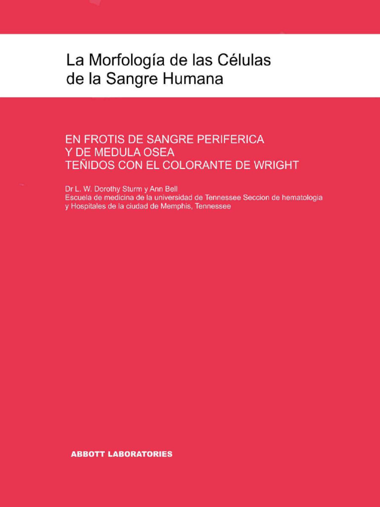 La Morfologia de Las Celulas de La Sangre Humana 4 PDF Free | PDF | Mitosis | Nucleo celular