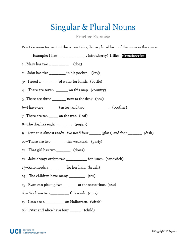 C1M1L3 - Singular & Plural Nouns Practice Exercise | PDF