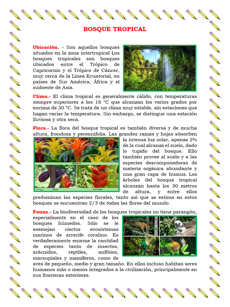 Ecosistemas y Biodiversidad en América | PDF | Zona tropical | Ciencias ...