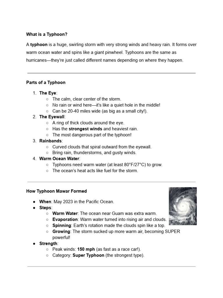 What Is A Typhoon | PDF