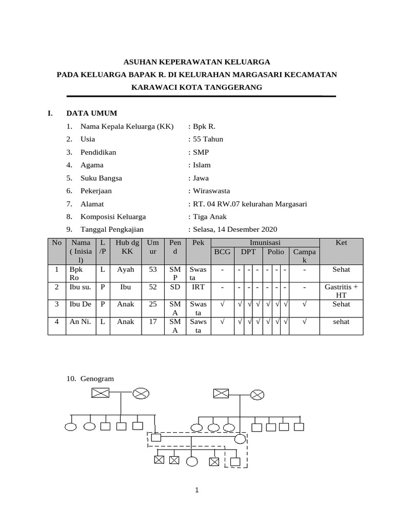 CONTOH PENGISIAN FORMAT KEPERAWATAN KELUARGA | PDF