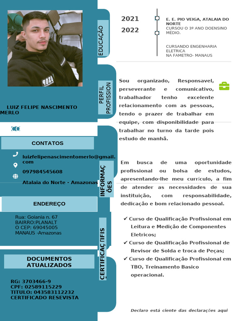 Curriculum luiz | PDF