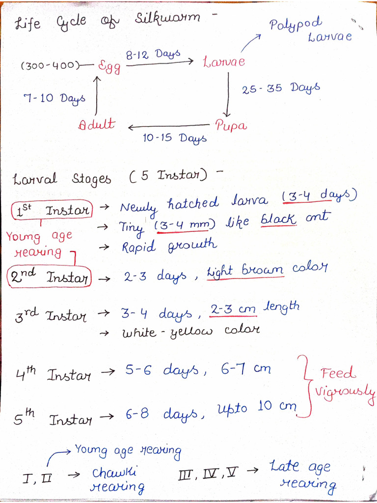 Sericulture (Short Notes) | PDF