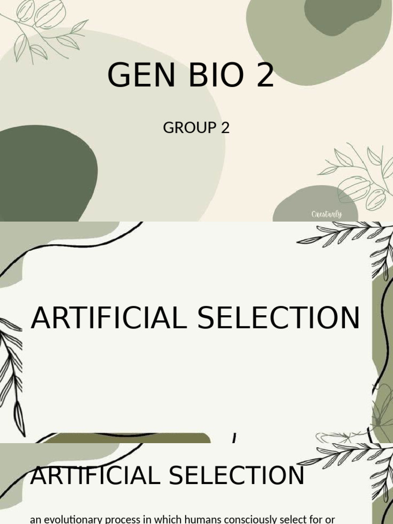 Gen Bio Groub 2 Artificial Selection Newton | PDF