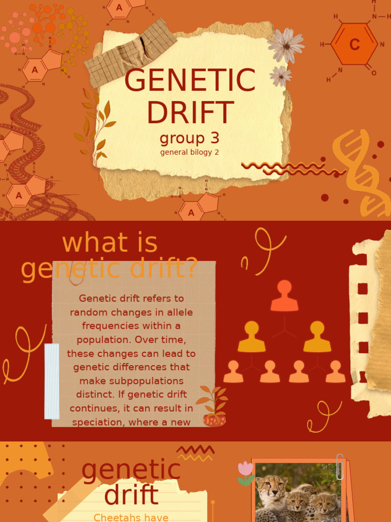 Group 3 Genetic Drift | PDF