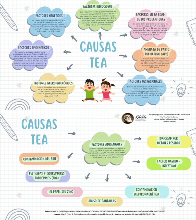Mapa Mental Causas TEA | PDF | Autismo | Epigenética