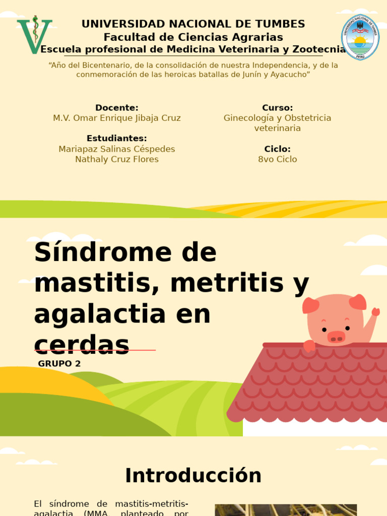 Síndrome de Mastitis, Metritis y Agalactia en Cerdas - Grupo 2 | PDF ...