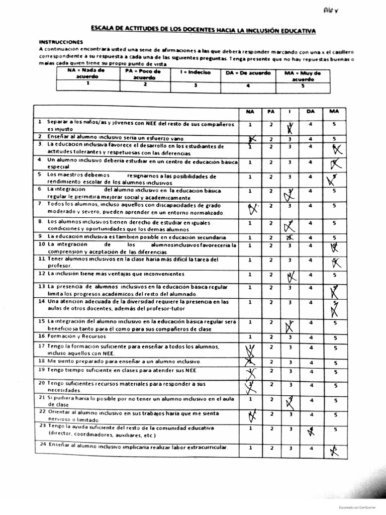 Escala Inclusion | PDF