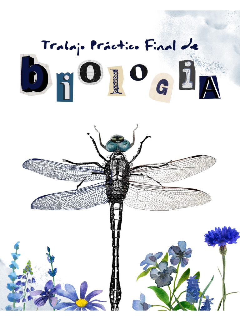 Trabajo Práctico Final Biología PDF | PDF | Libélula | Insectos