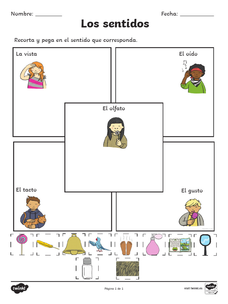 Ficha de Actividad Los Sentidos | PDF