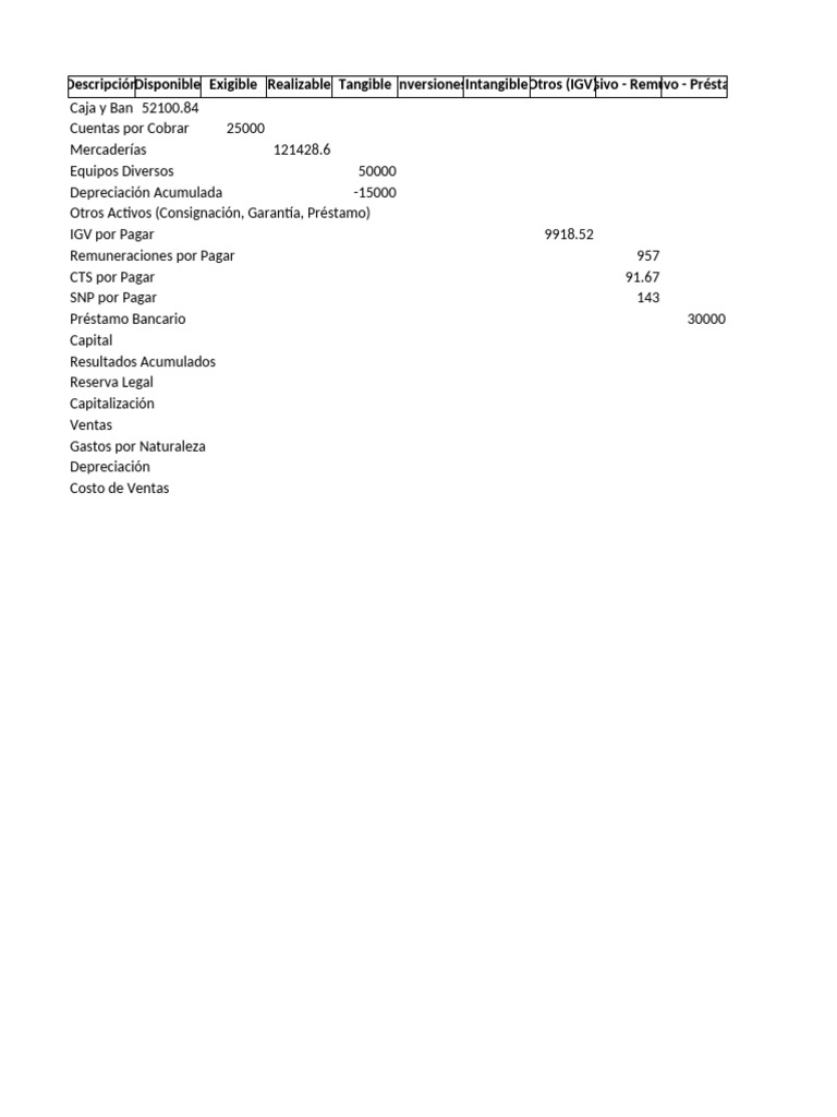 Ecuacion Contable Extendida EVOLUCION EIRL | PDF