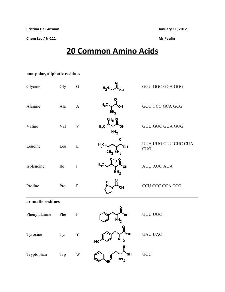 20 Common Amino Acids Chart | PDF