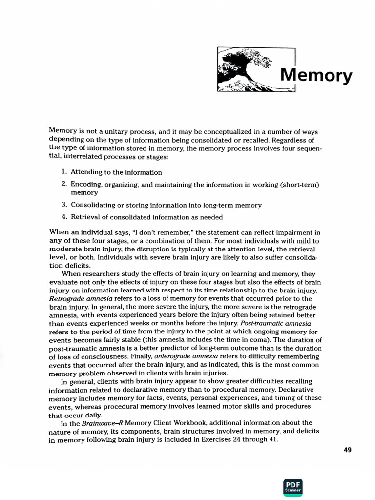 Memory BrainwaveR - Doc7 | PDF