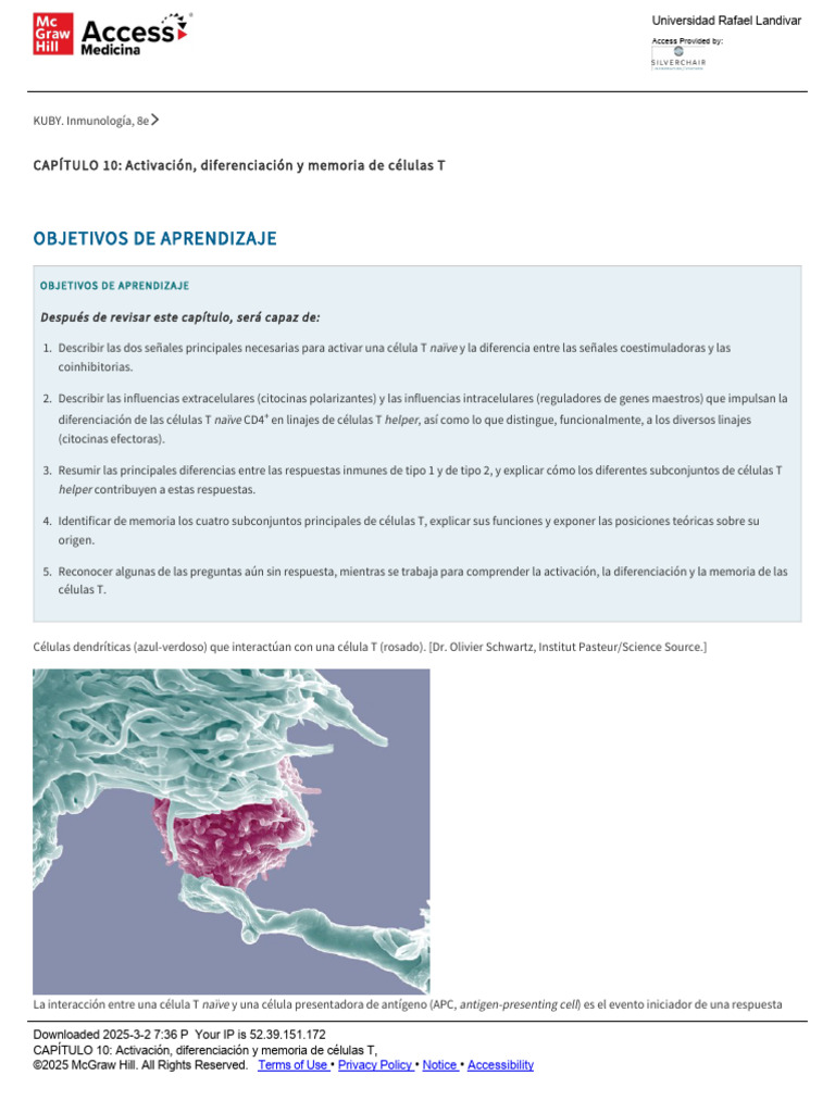 CAPÍTULO 10 - Activación, Diferenciación y Memoria de Células T | PDF | Célula T | T Helper Cell