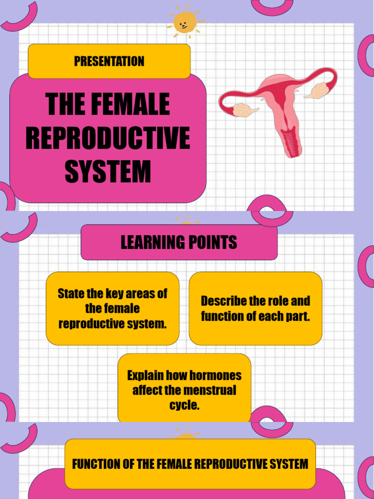 Overview of the Female Reproductive System | PDF | Labia | Reproductive ...