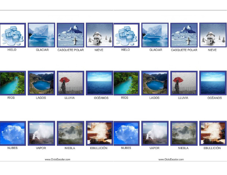 Actv Estados de Agregacion | PDF