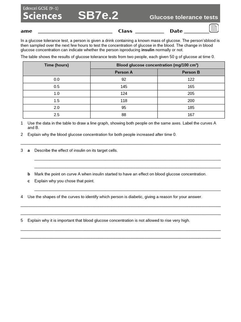 Worksheet Glucoregulation | PDF | Glucose | Disorders Of Endocrine Pancreas