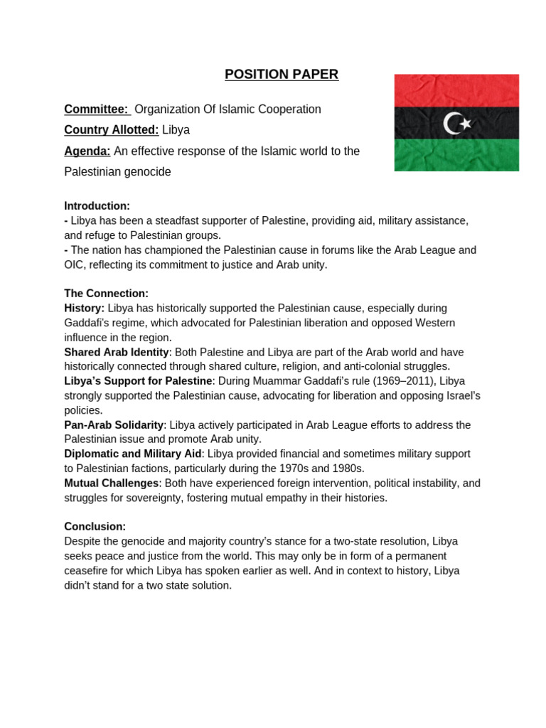 Position Paper - Libya | PDF