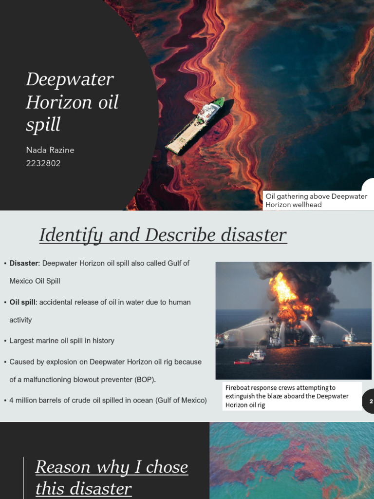 Deepwater Horizon - Oral 2 geo | PDF | Oil Spill | Deepwater Horizon ...