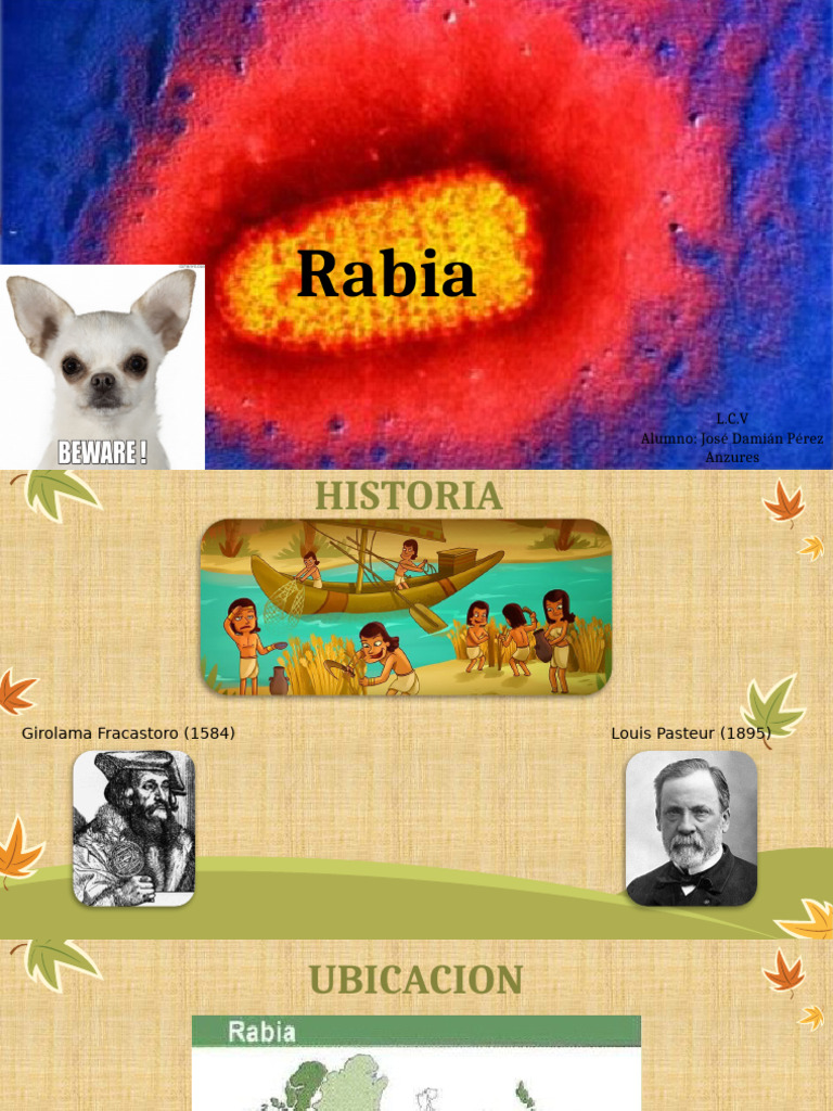 Rabia | PDF | Rabia | Enfermedades y trastornos
