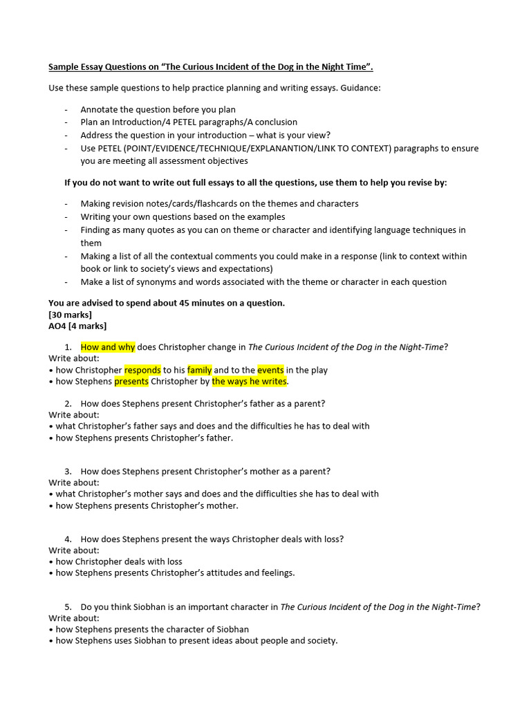 Essay Questions for "Curious Incident" | PDF | Essays