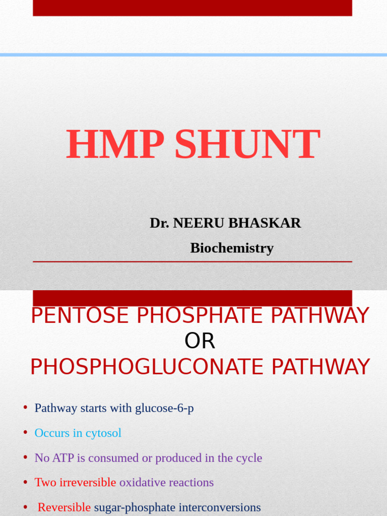 5) HMP SHUNT& uronic acid pathway | PDF | Nicotinamide Adenine Dinucleotide Phosphate | Glycolysis