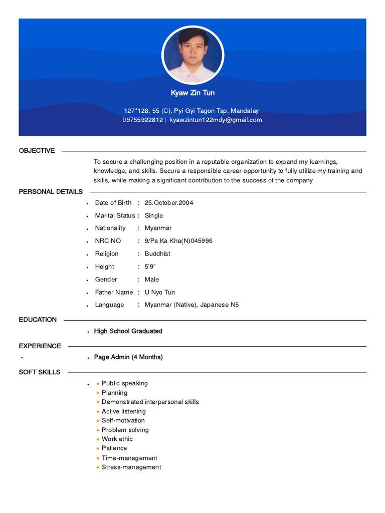 Kyaw Zin Tun - CV | PDF