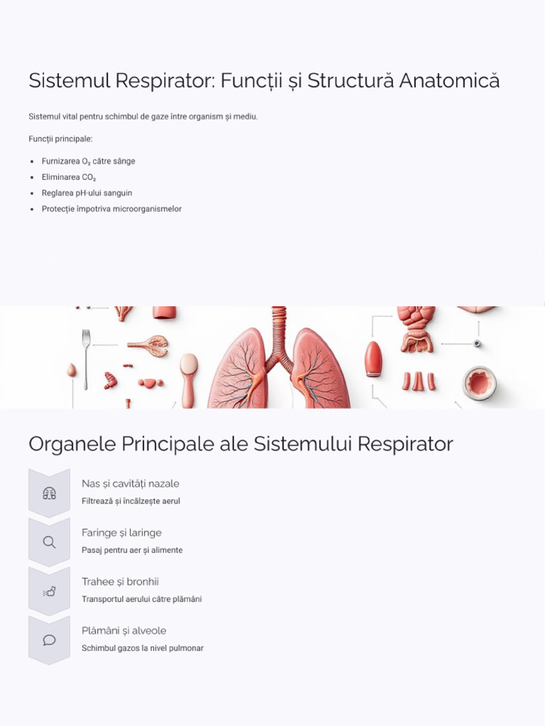 1 Sistemul Respirator Functii Si Structura Anatomica | PDF