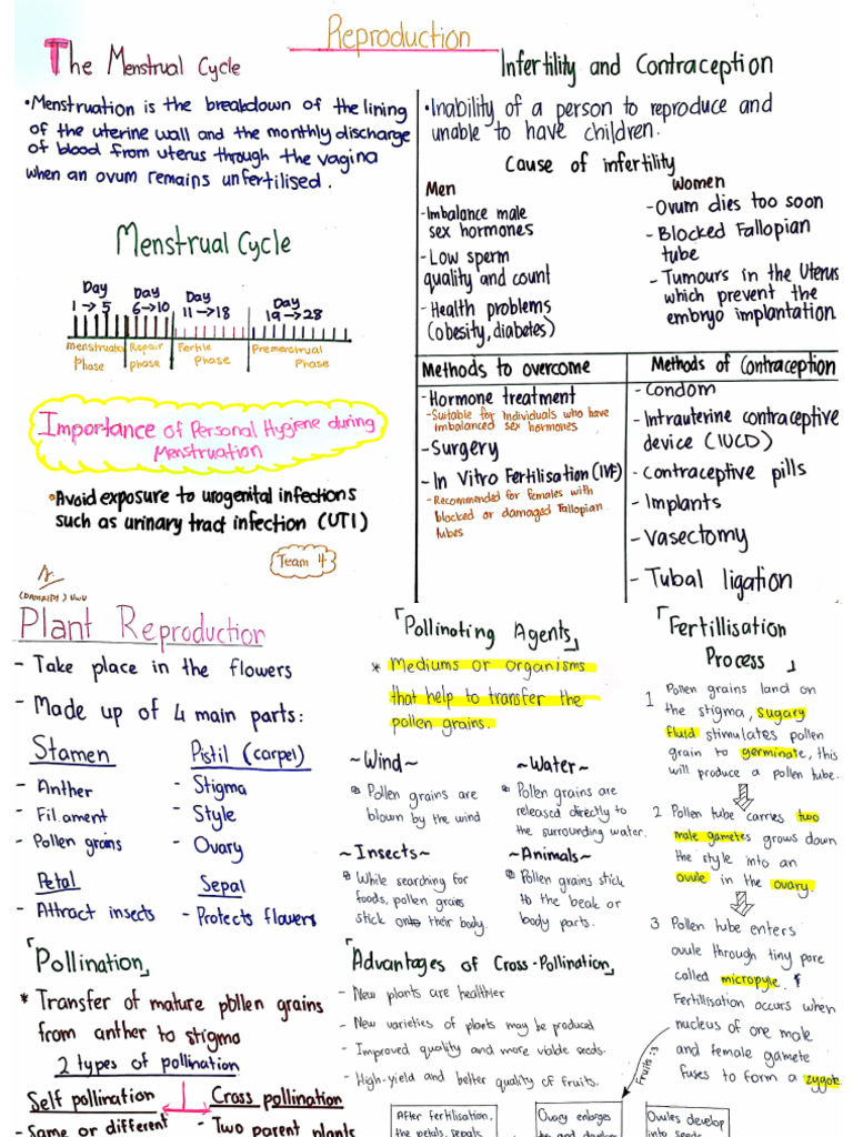 4 Reproduction 3a | PDF