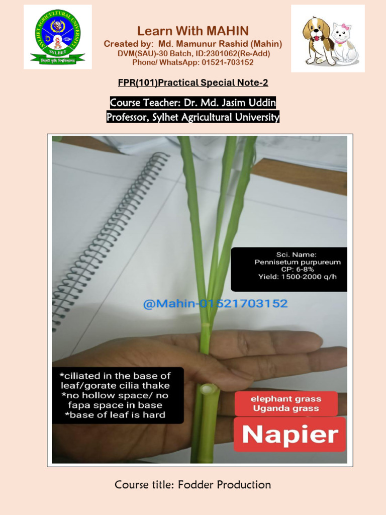 Mahin's Note FPR Identification | PDF