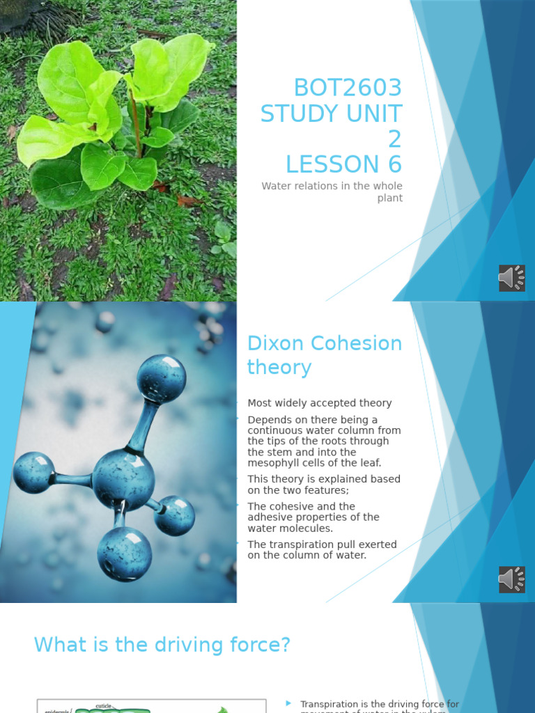 BOT2603 Study Unit 2 - Lesson 6 | PDF | Materials | Physical Sciences