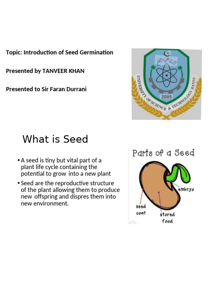 Introduction of Seed Germination (TANVEER KHAN) | PDF